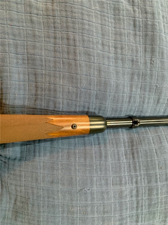 .375 Ruger African | AfricaHunting.com