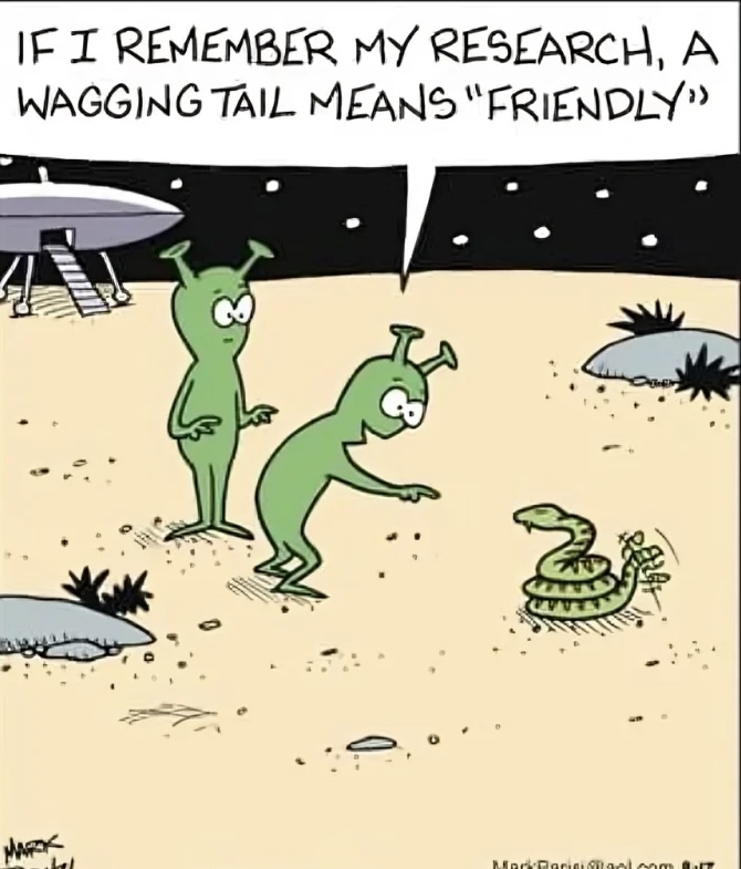 on a lighter note... | Page 2350 | AfricaHunting.com