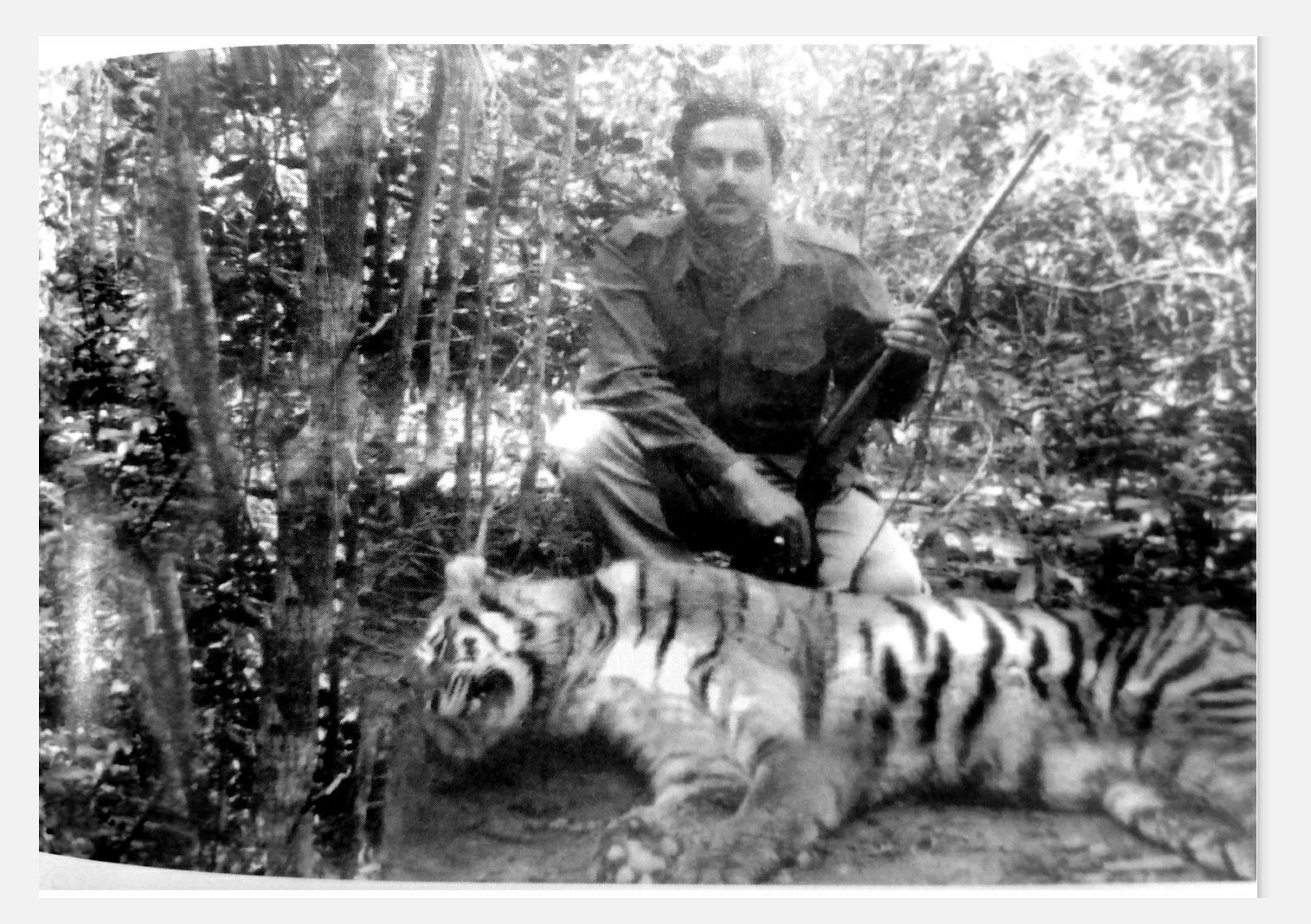 Baagh Shikar: The Art Of Hunting The Royal Bengal Tiger | AfricaHunting.com