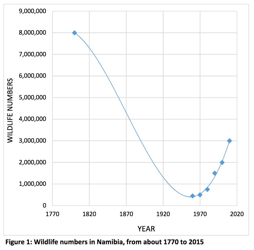 The Important Link Between Hunting & Tourism In Namibia Both Working ...