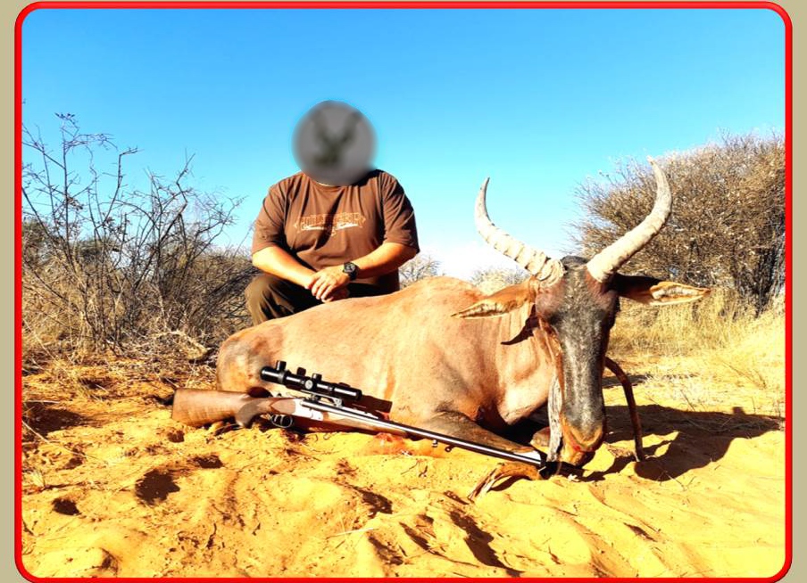 2020 Buffalo Combo Hunting Packages South Africa - 20 Years As Full ...