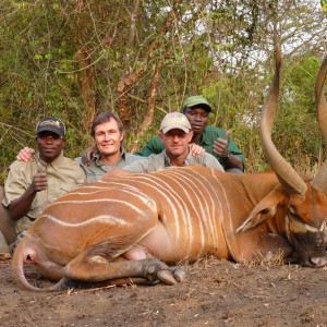 Hunting Bongo in Central African Republic | AfricaHunting.com
