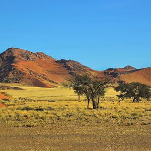 Namibia Landscape | AfricaHunting.com