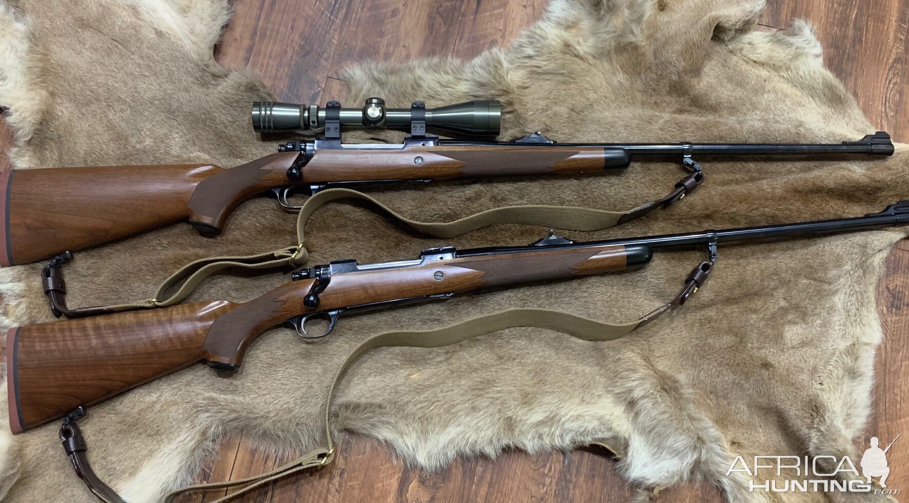 275 Rigby Rifle | Hunting