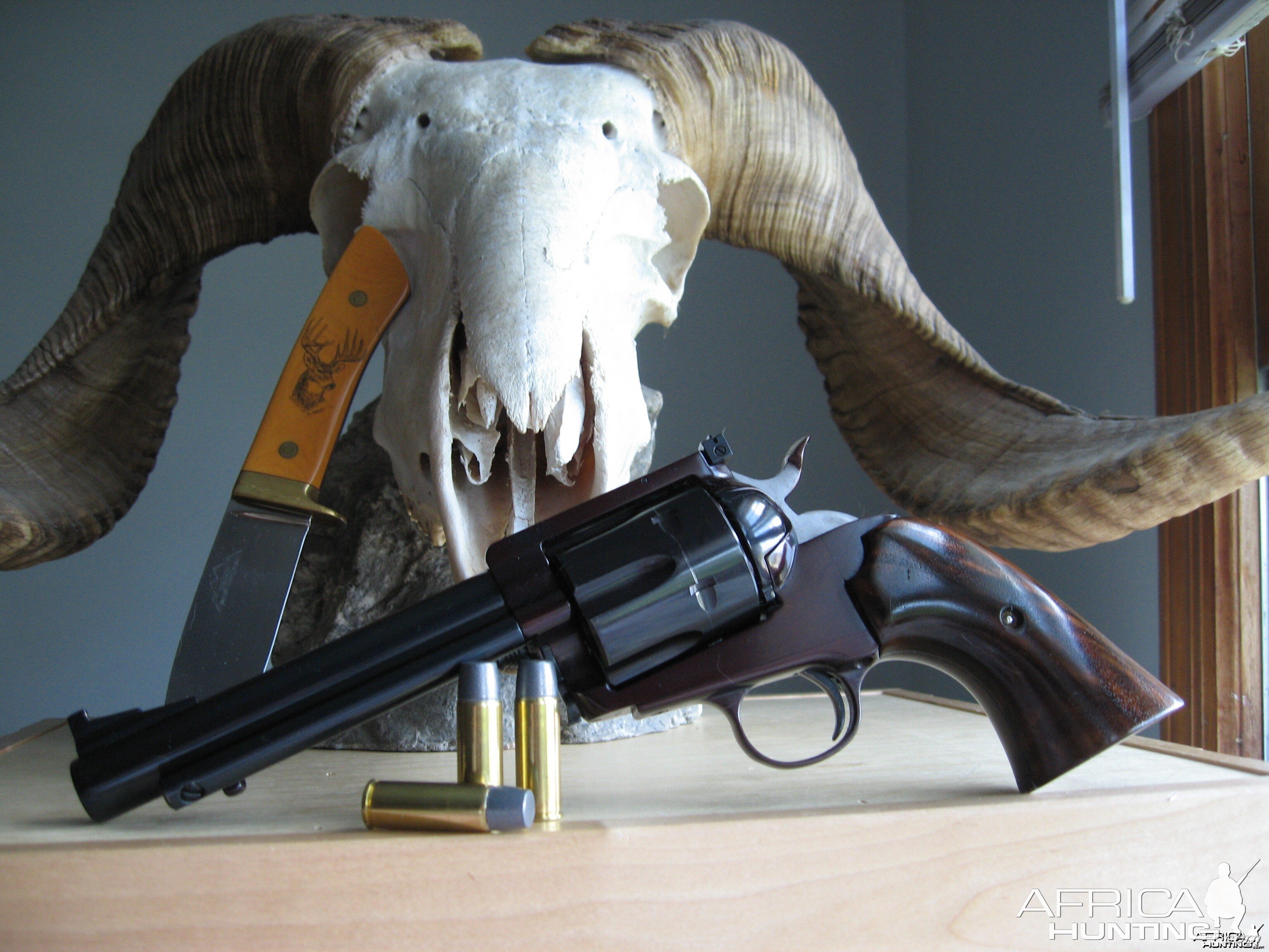 45 Colt | AfricaHunting.com