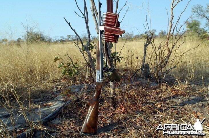 .470 Nitro Express | AfricaHunting.com