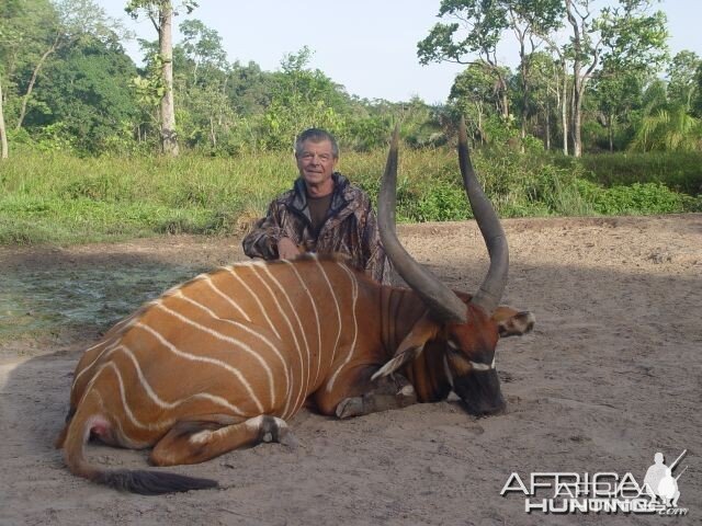 bongo | AfricaHunting.com