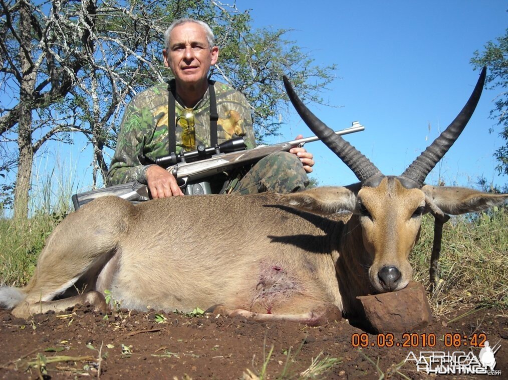 Common Reedbuck | AfricaHunting.com