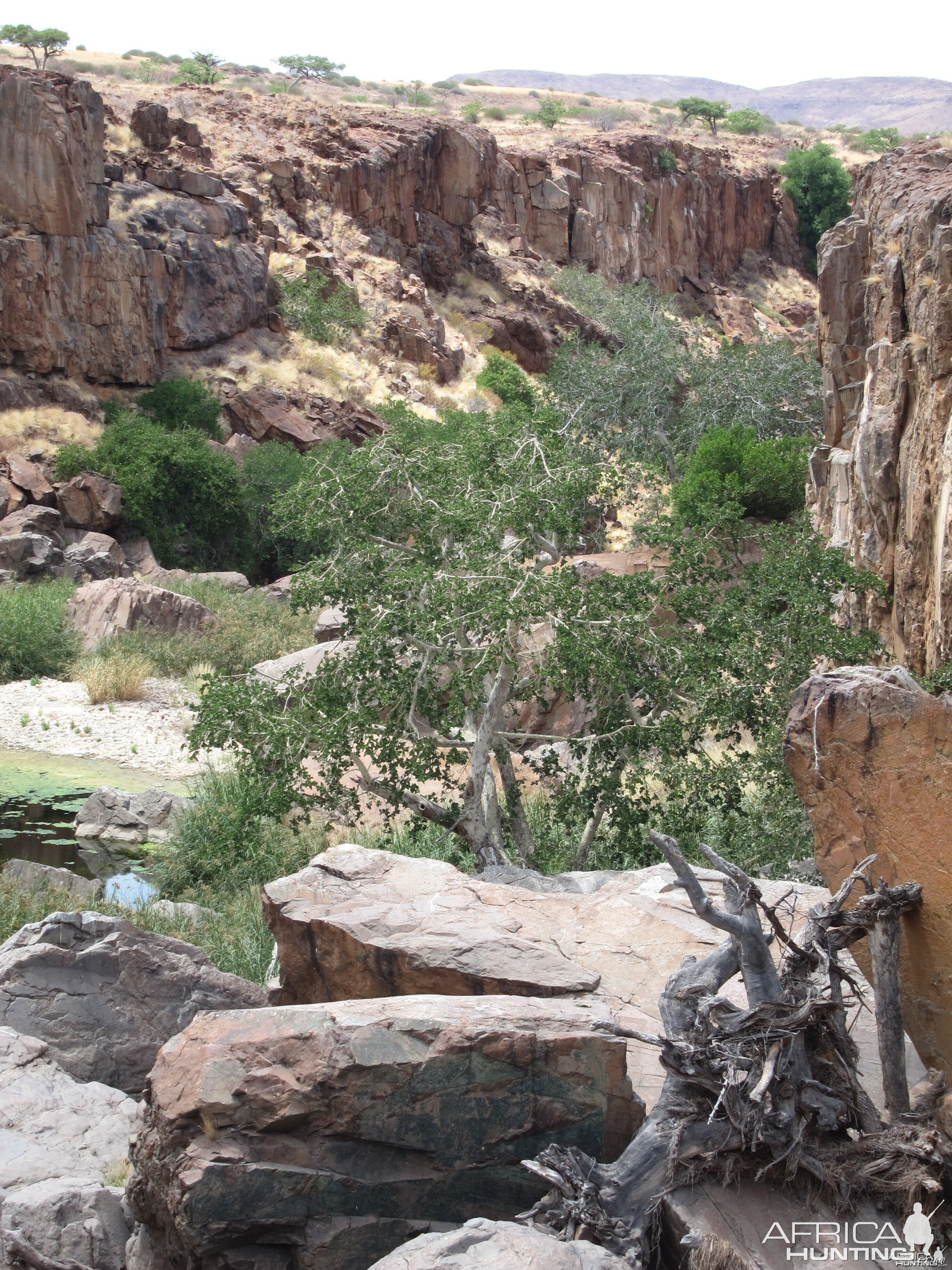 Damaraland Namibia | AfricaHunting.com