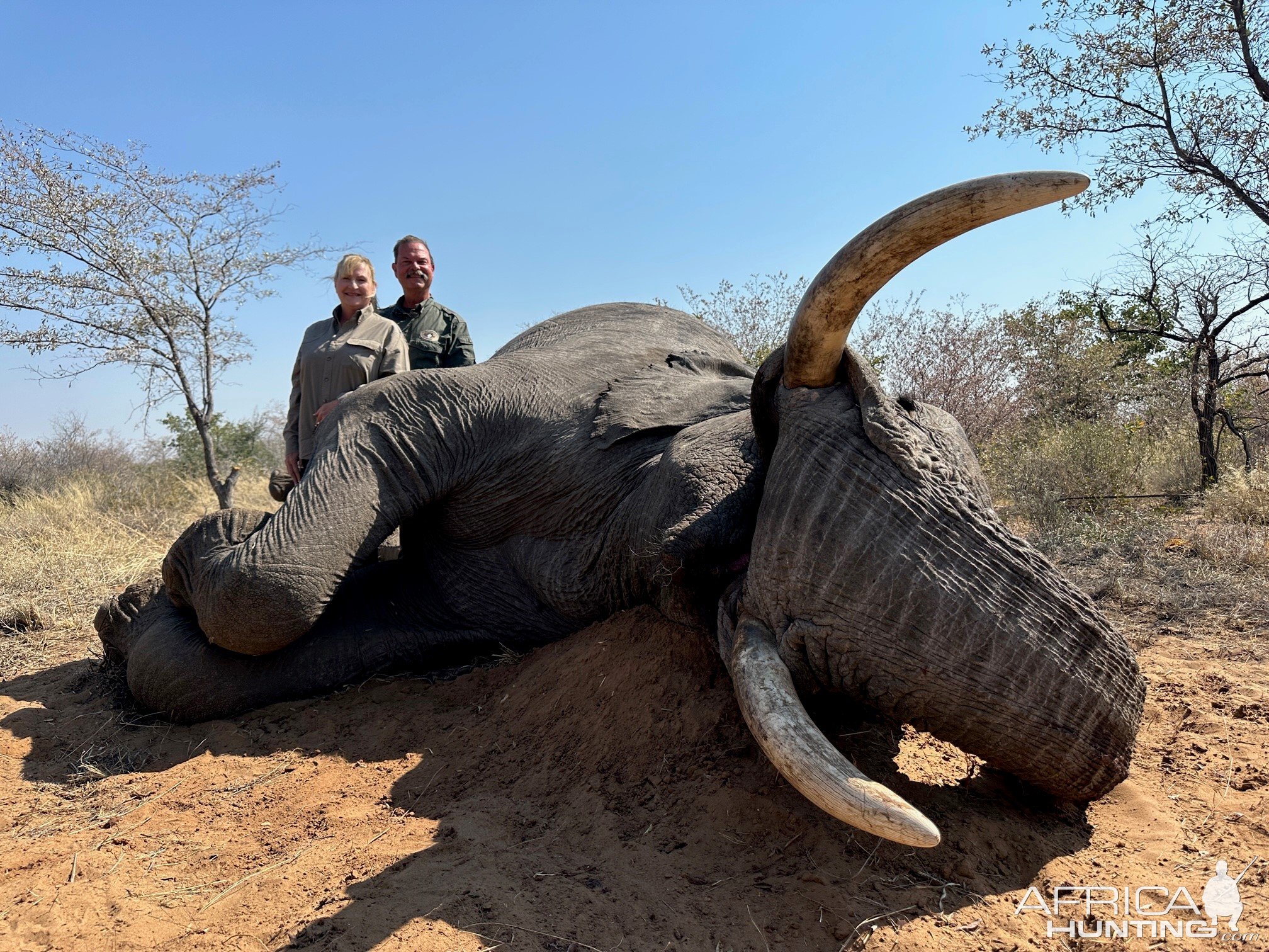 Elephant Hunt Namibia | AfricaHunting.com