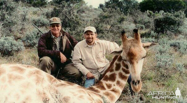 Giraffe Hunt South Africa | AfricaHunting.com