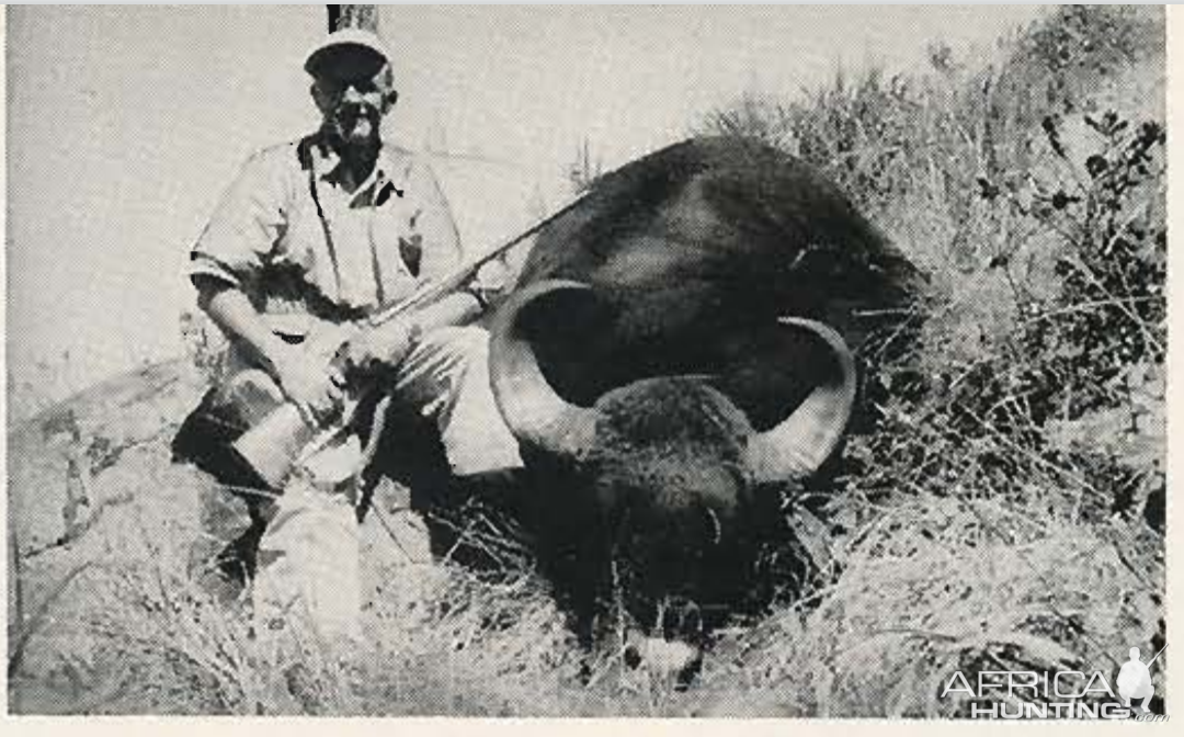 India Hunting a 2000 pound Gaur | AfricaHunting.com