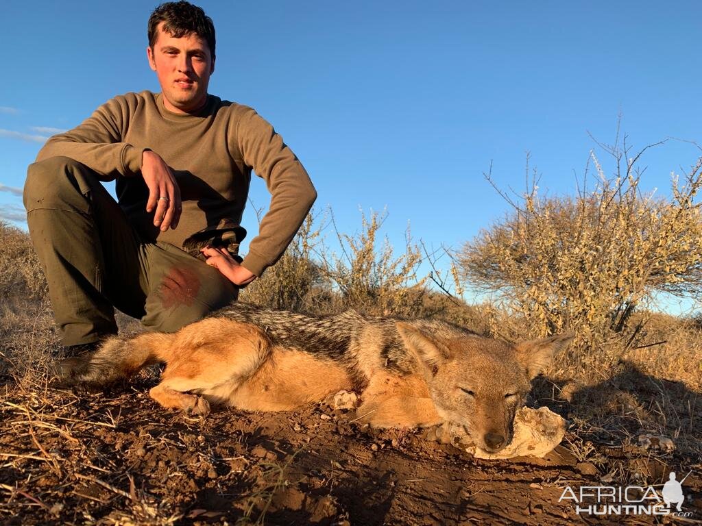 Jackal Hunting South Africa | AfricaHunting.com