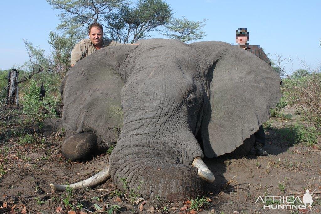 Namibia Hunting Elephant | AfricaHunting.com