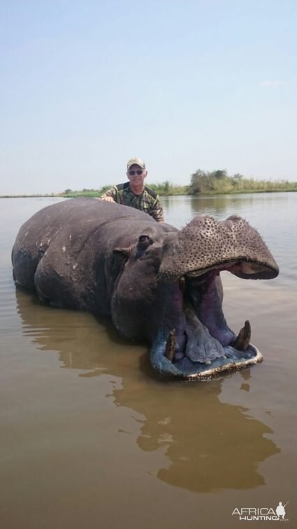 Namibia Hunting Hippo | AfricaHunting.com