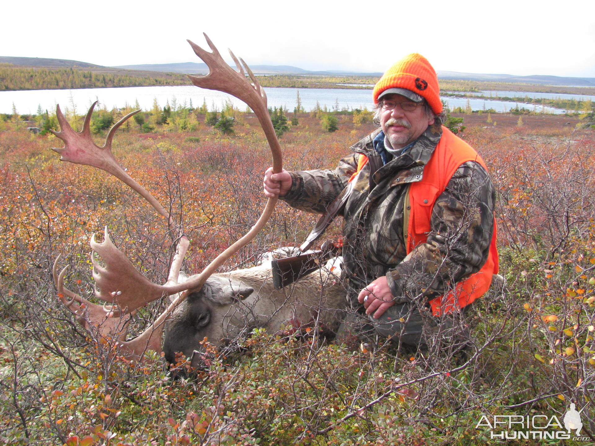 Northern Quebec Caribou Hunting | AfricaHunting.com