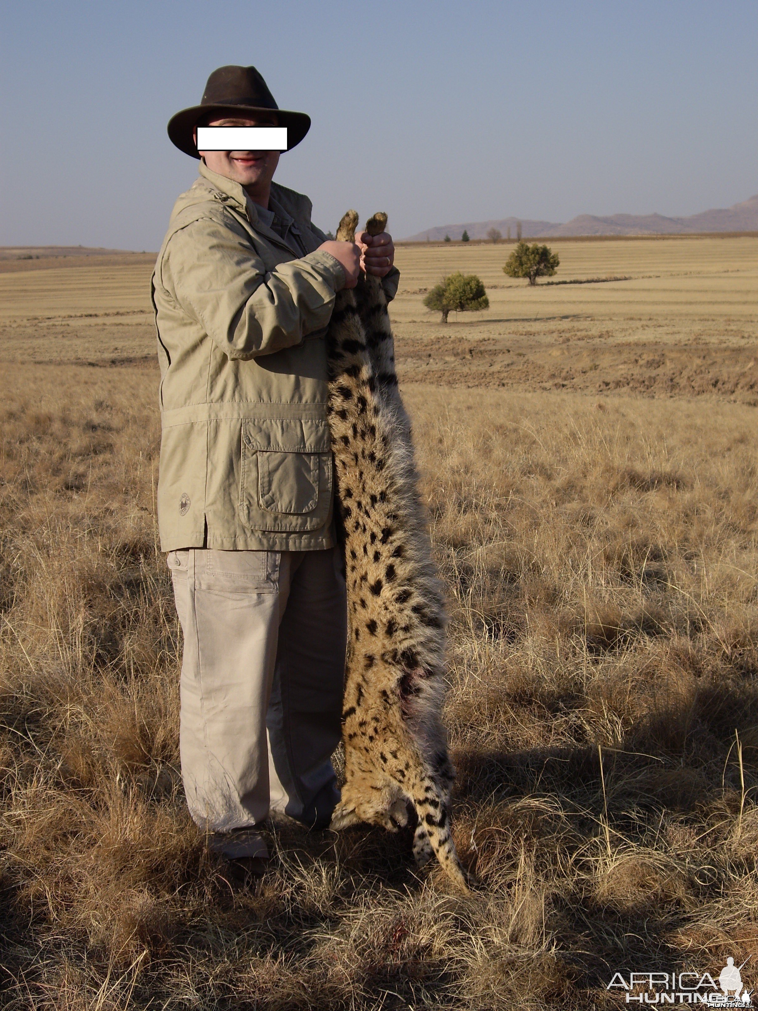 Serval | AfricaHunting.com
