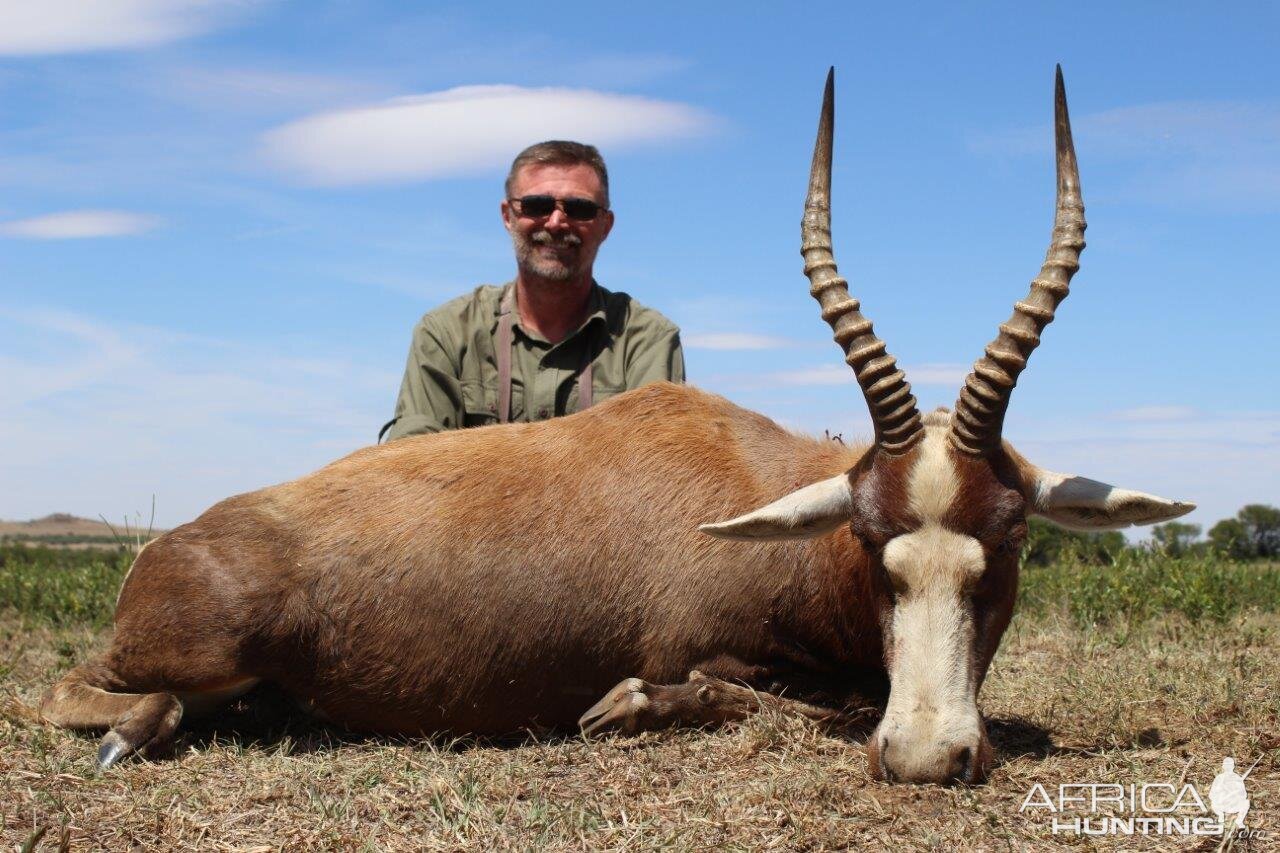 South Africa Blesbok Hunt | AfricaHunting.com