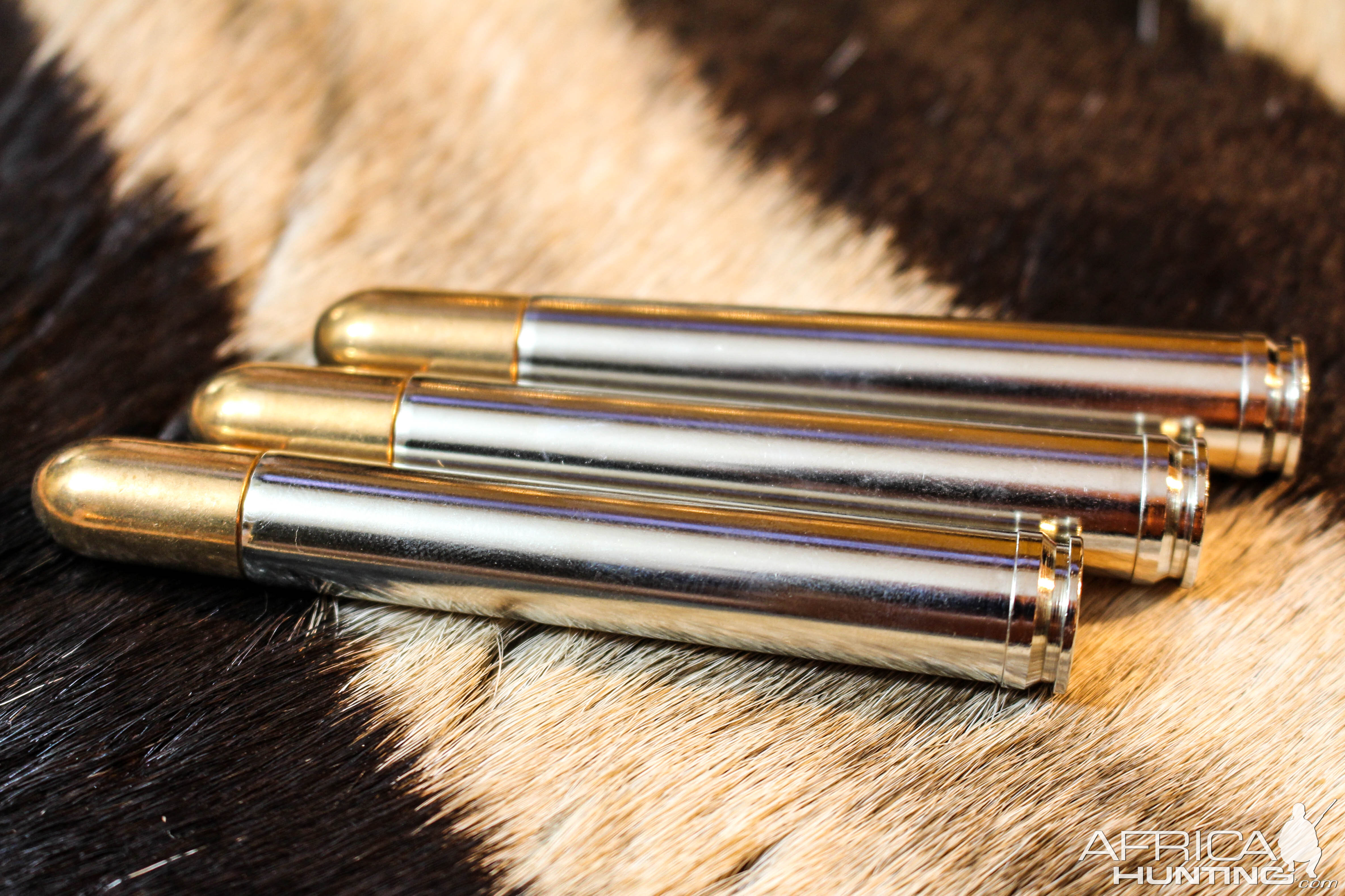 The .458 Lott | AfricaHunting.com