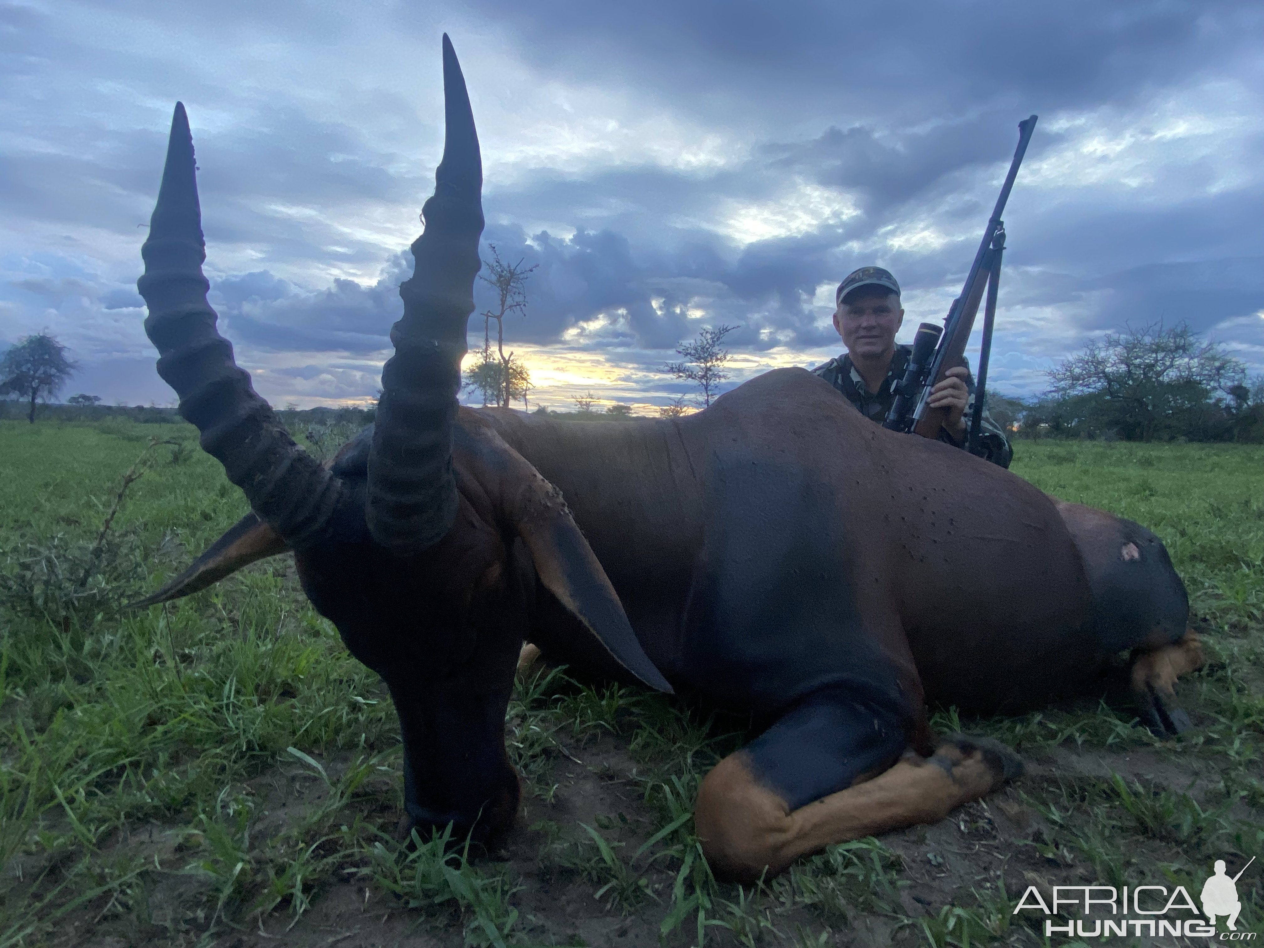 Topi Hunt Tanzania | AfricaHunting.com