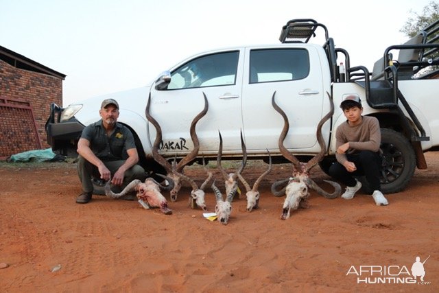 Trophy Hunt South Africa | AfricaHunting.com