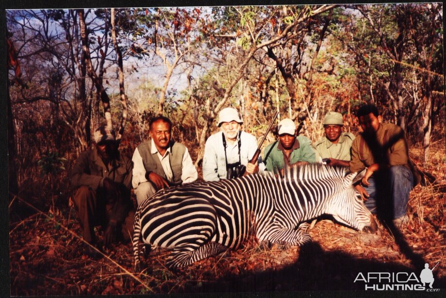 Zebra Hunting | AfricaHunting.com